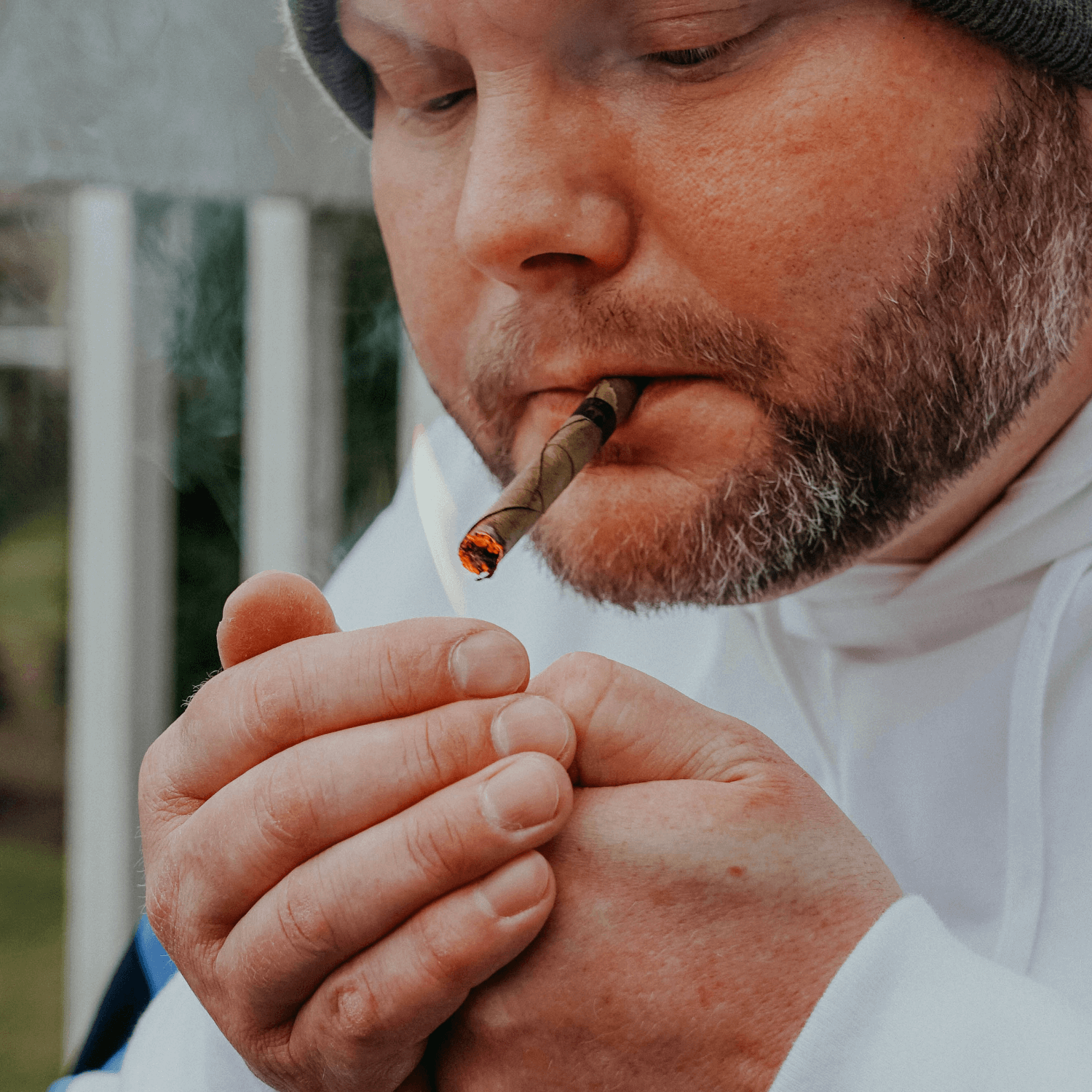 What Is Grabba? A Comprehensive Guide To Grabba Leaf