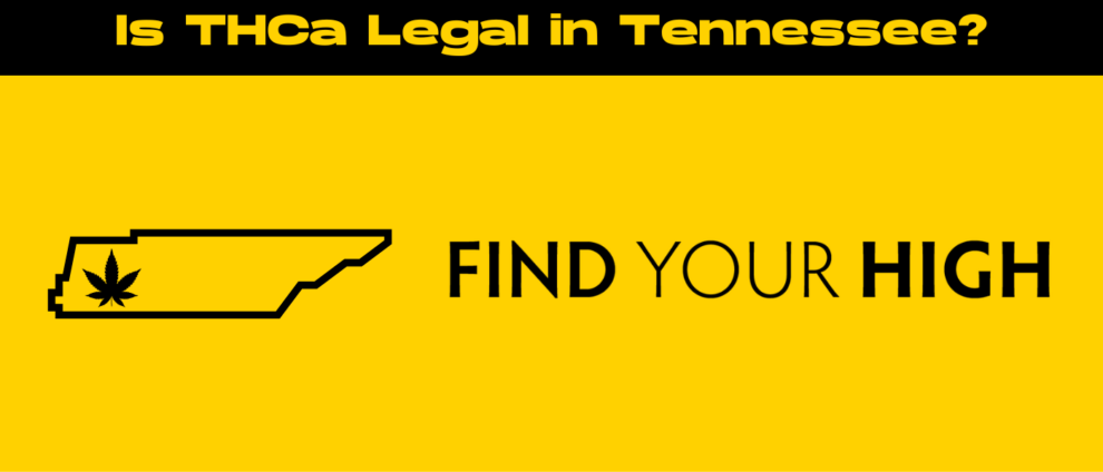 Is THCA Legal In Tennessee? Understanding Regulatory Changes