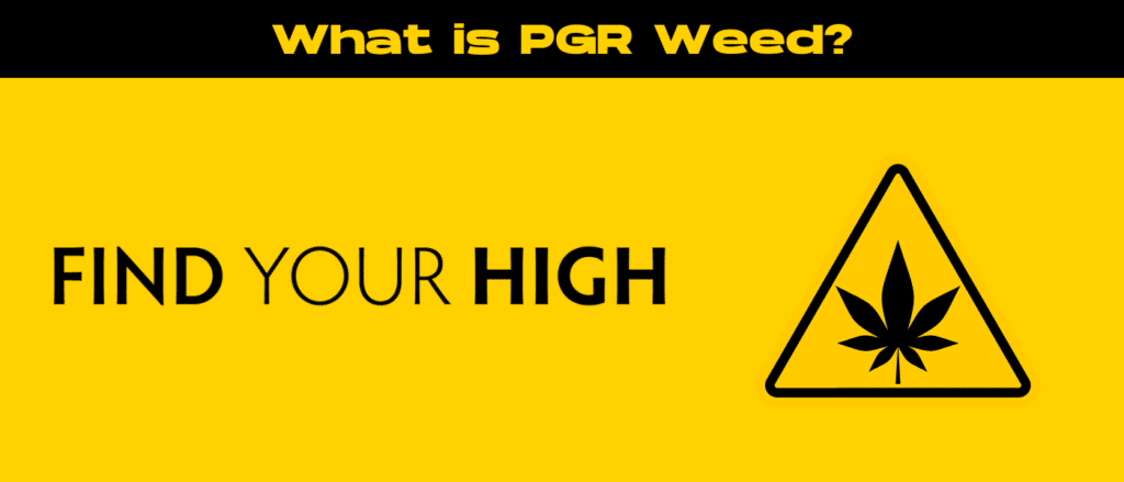 Understanding PGR Weed: Risks & Facts You Should Know