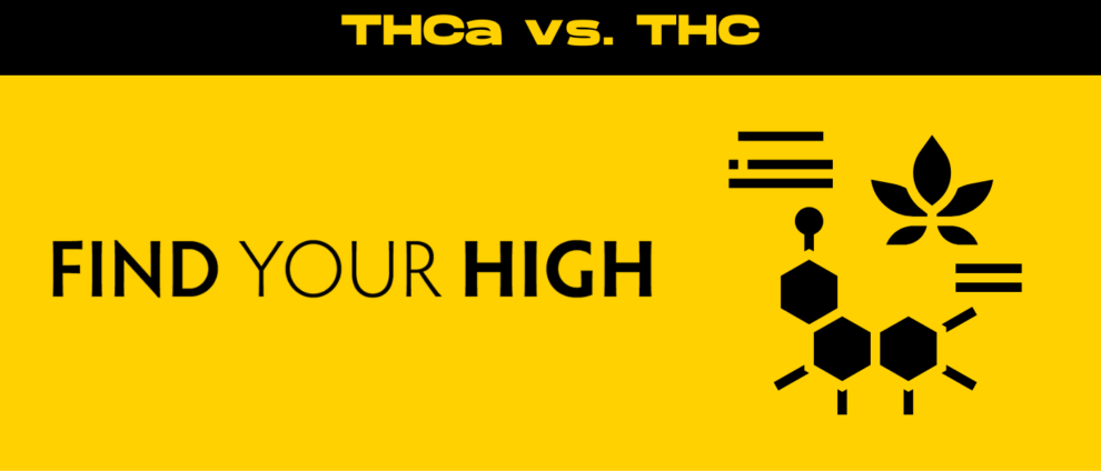 THCa Vs THC: Key Differences For Better Understanding