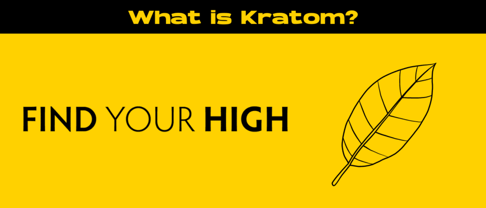 What Is Kratom? Benefits, Risks, & Essential Facts