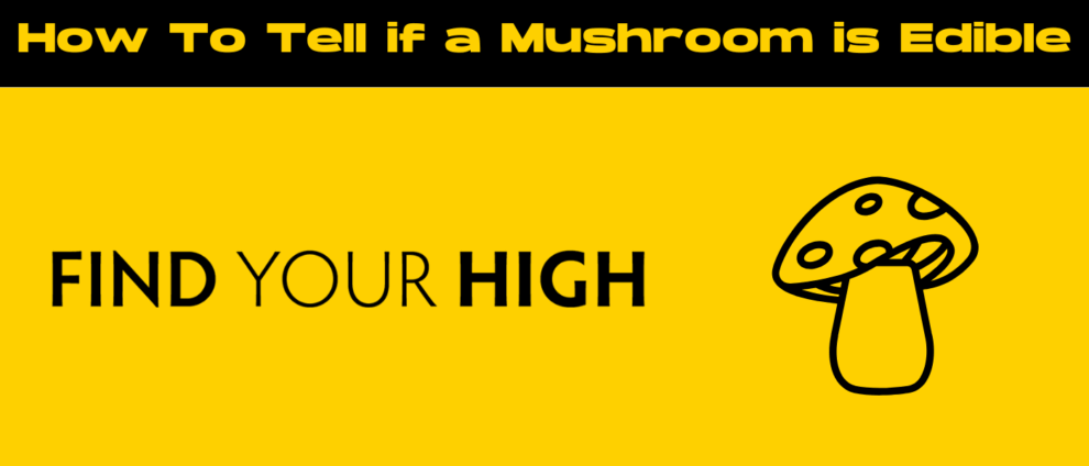 How To Tell If A Mushroom Is Edible: A Practical ID Guide