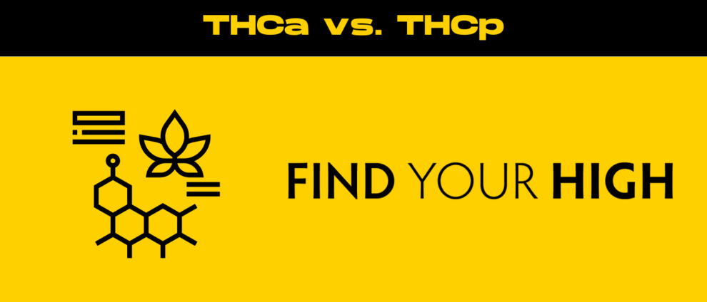 THCA Vs THCP: Key Differences Explained